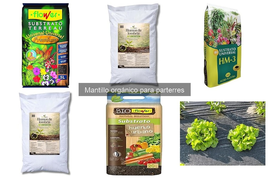 Resolvemos tus Dudas: Preguntas Frecuentes sobre el Mantillo Orgánico ...